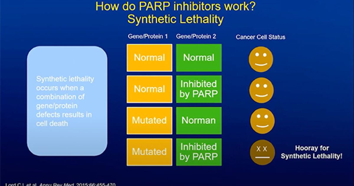 PARP Inhibitors Treatment Update | ZERO Prostate Cancer