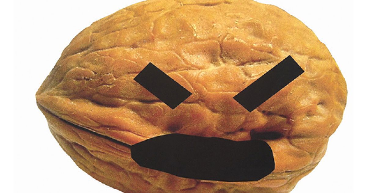 Why a Talking Walnut Wasn’t that Nutty | ZERO Prostate Cancer